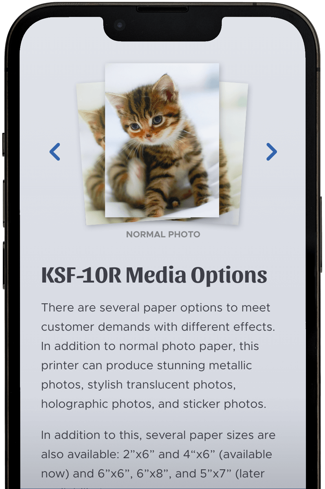 SwiftFoto | Custom WordPress Website Design | Sussman Portfolio